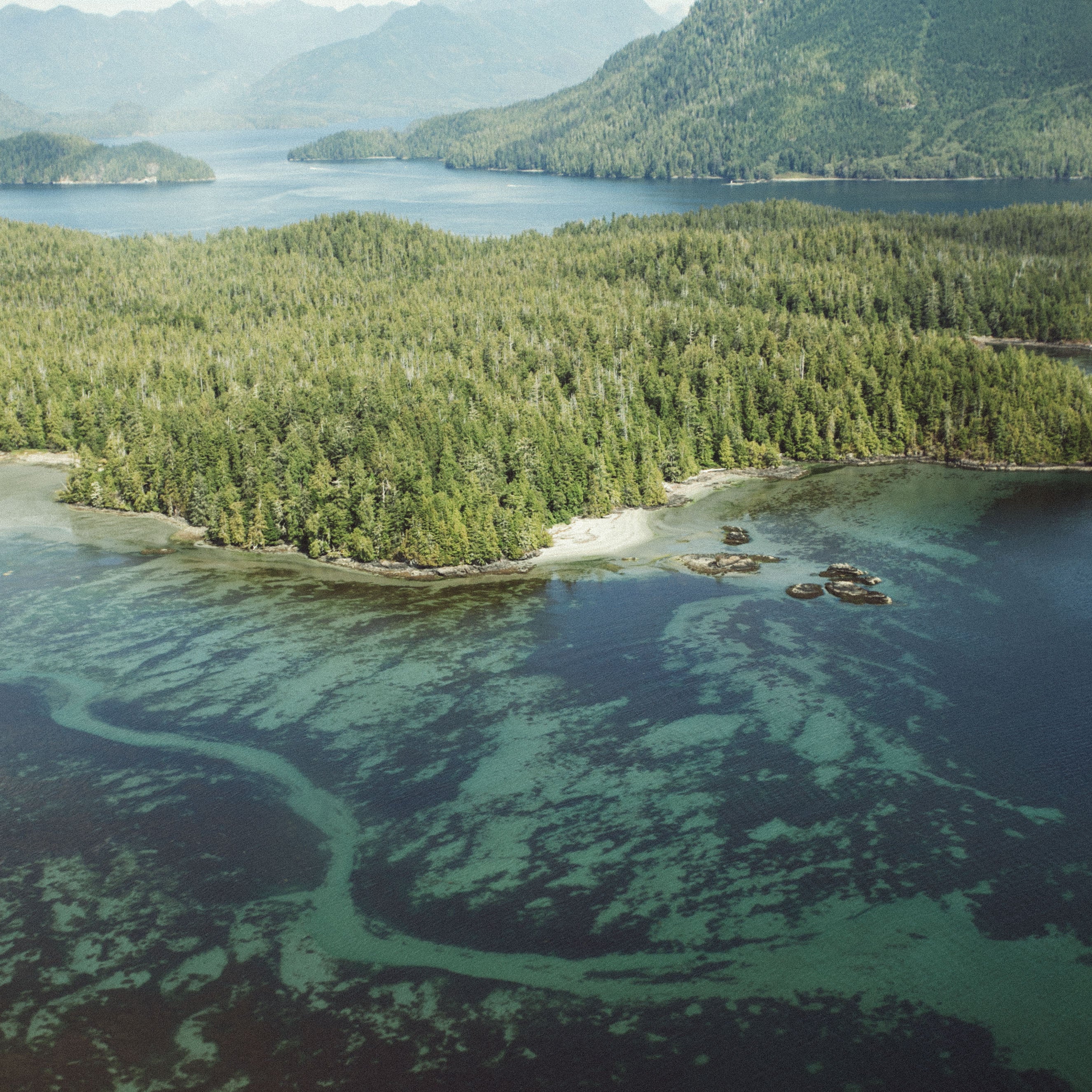 Our 2024 Tofino guide – Merge