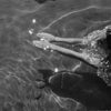 Ocean Rituals for Self Care – Merge